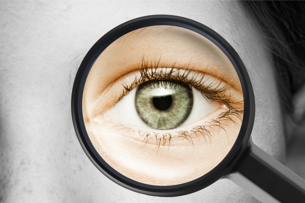 Bien choisir un inspecteur en bâtiment au Québec | Réseau-IBC